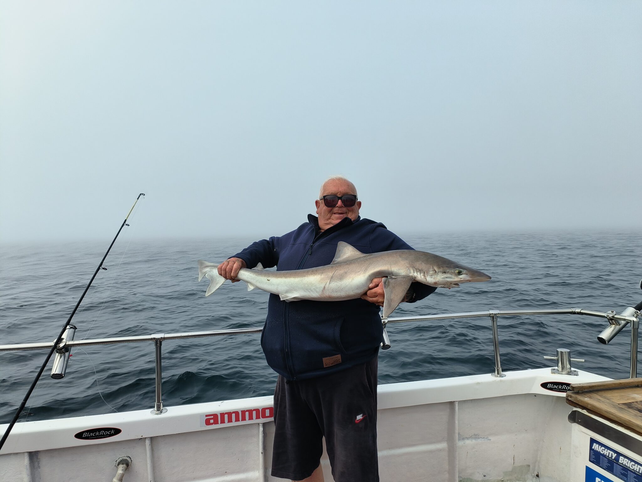 Boat fishing trips for Tope | Brighton | Newhaven | Eastbourne